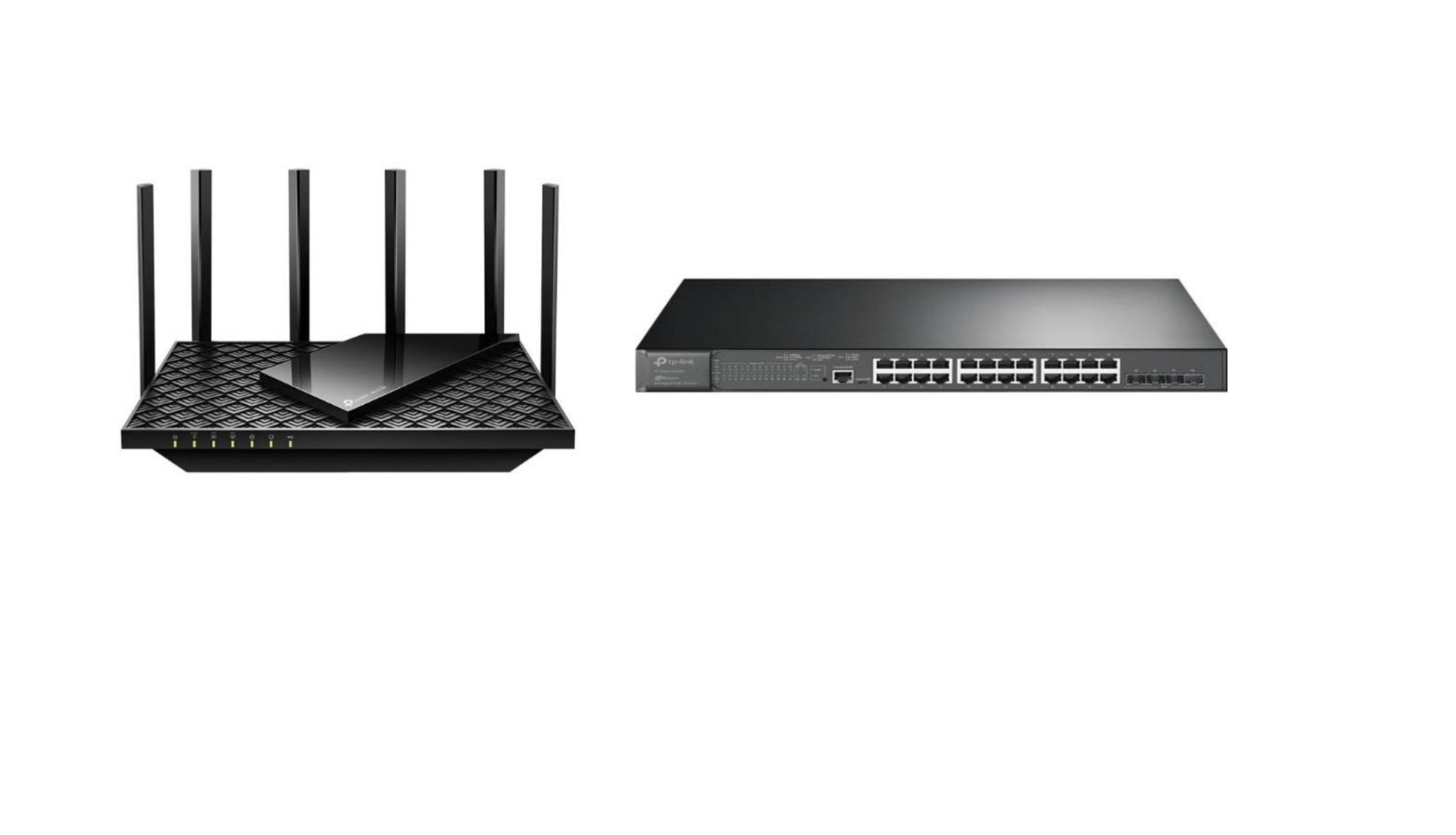 Network Interface Device | PEGASUSS